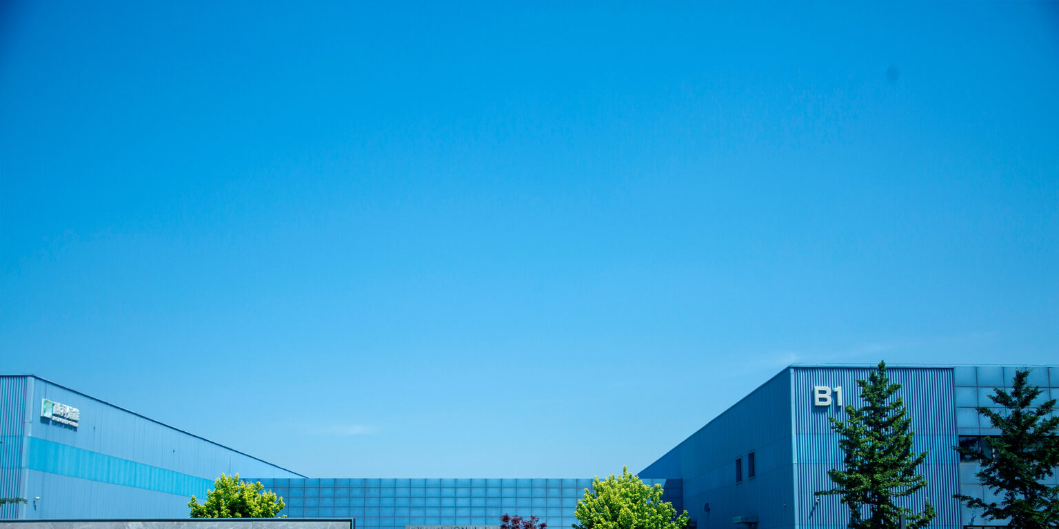 Rongke Power - Leading Vanadium Flow Battery (VFB) Solutions